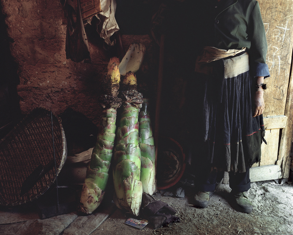 Robert van der Hilst