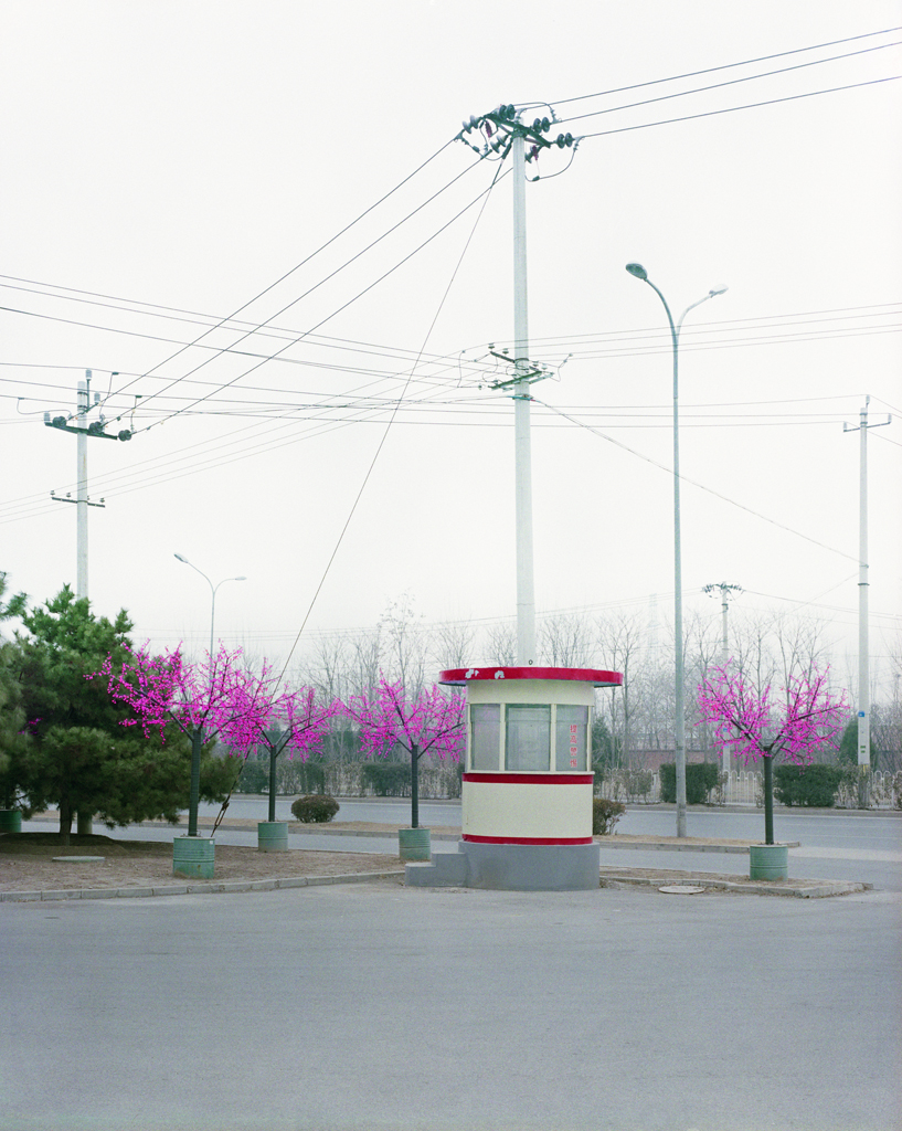 Jin Youming 金酉鸣