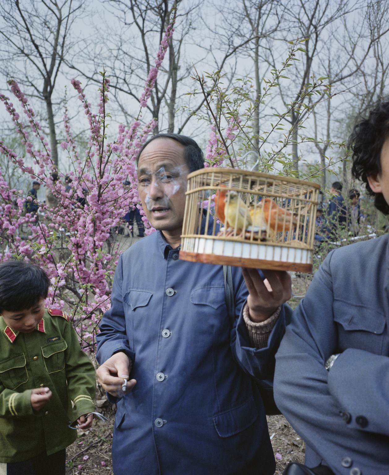 Reagan Louie - For nearly forty years, the American photographer Reagan ...