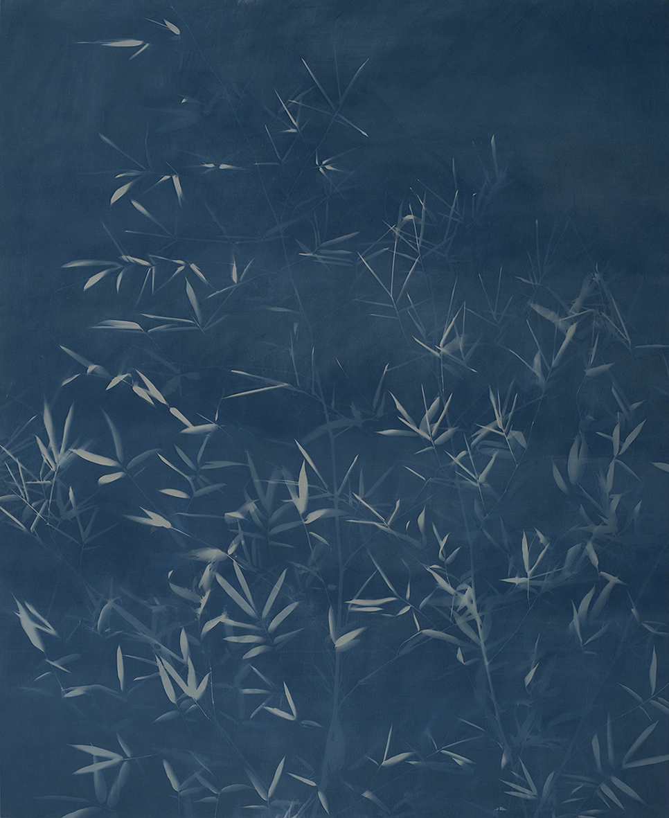 Zhang Dali's cyanotypes - China’s most well known graffiti artist Zhang ...