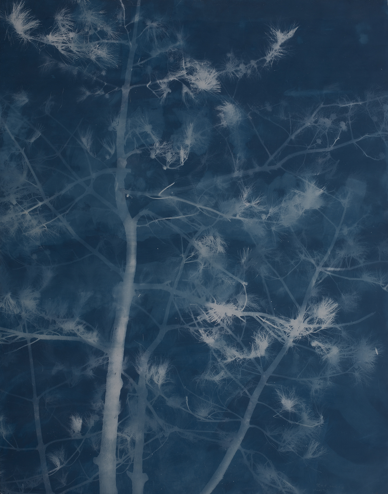 Zhang Dali's cyanotypes - China’s most well known graffiti artist Zhang ...