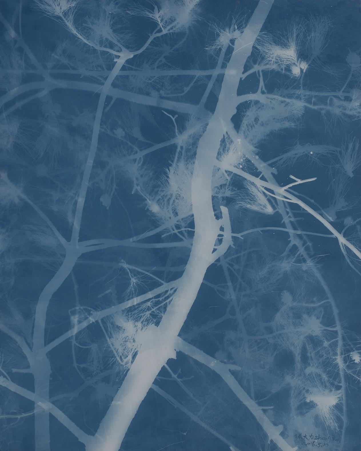 Zhang Dali's cyanotypes - China’s most well known graffiti artist Zhang ...