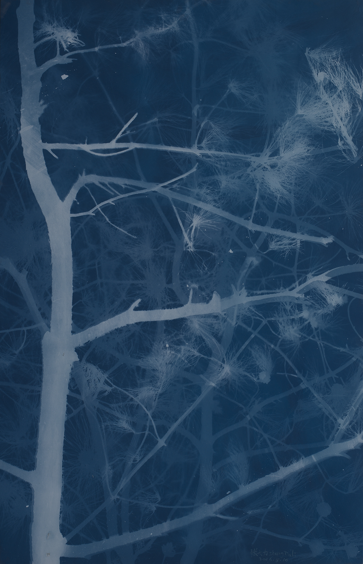 Zhang Dali's cyanotypes - China’s most well known graffiti artist Zhang ...