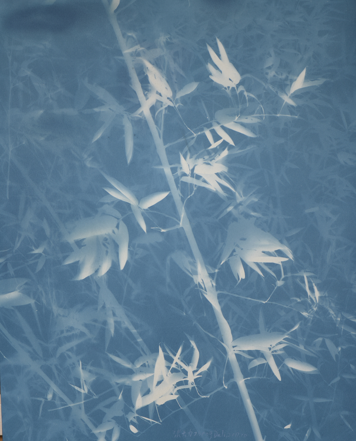 Zhang Dali's cyanotypes - China’s most well known graffiti artist Zhang ...