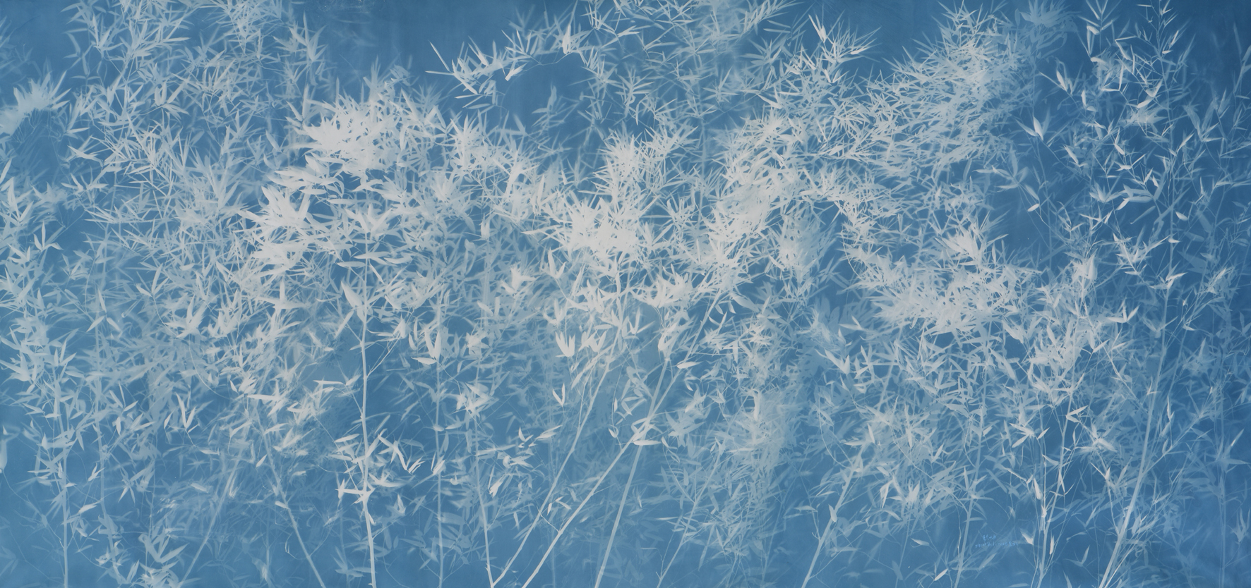 Zhang Dali's cyanotypes - China’s most well known graffiti artist Zhang ...