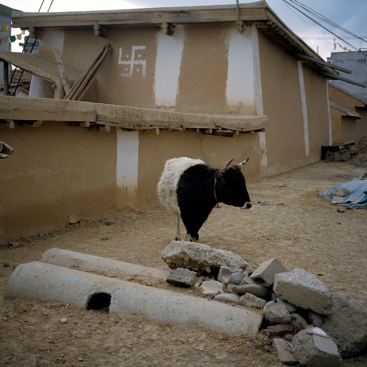 Marc Aziz Ressang - In his series “Set in Stone”, Dutch photographer ...