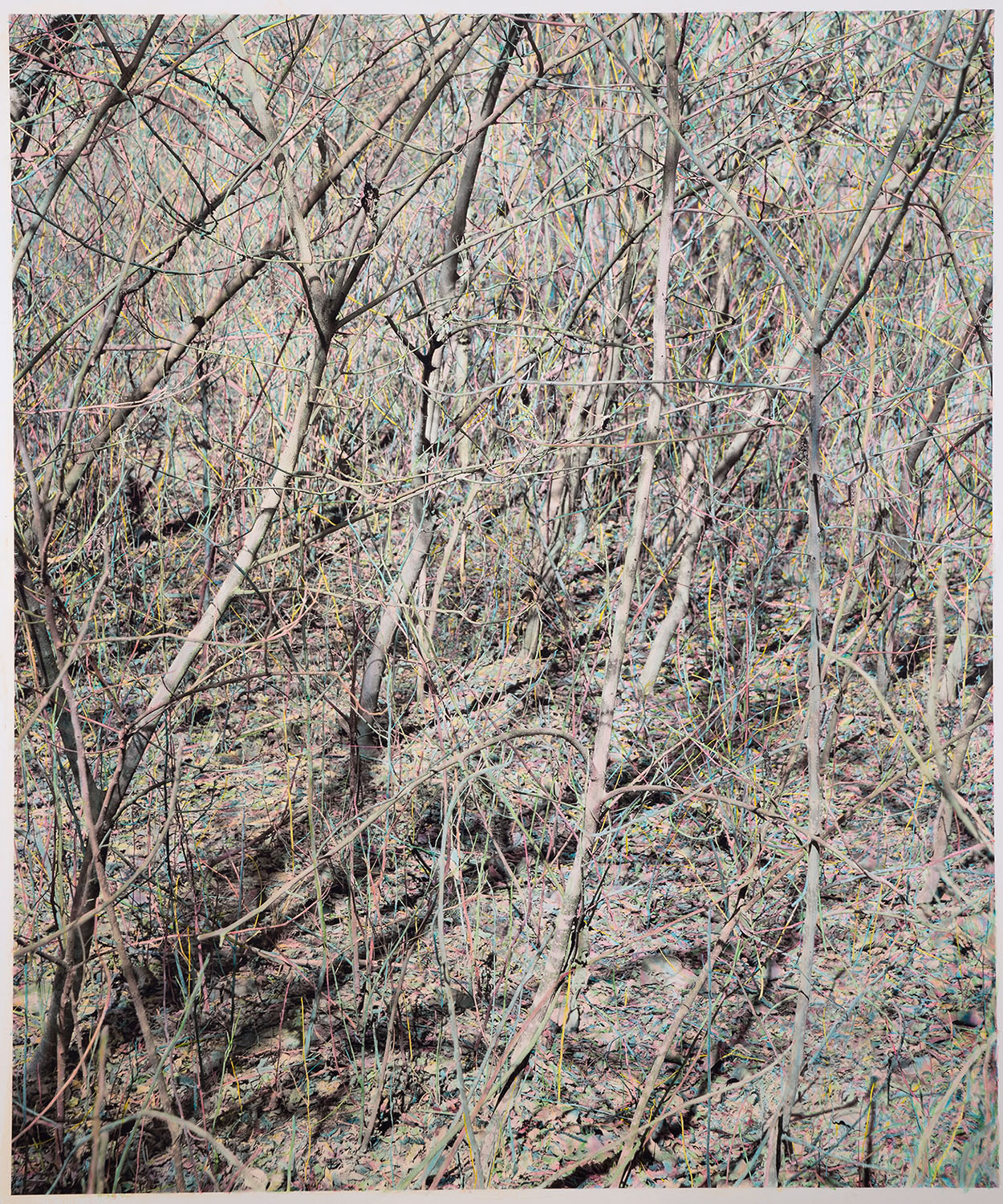 Shi Guowei 史国威 - Shi Guowei has always used photography as a creative ...