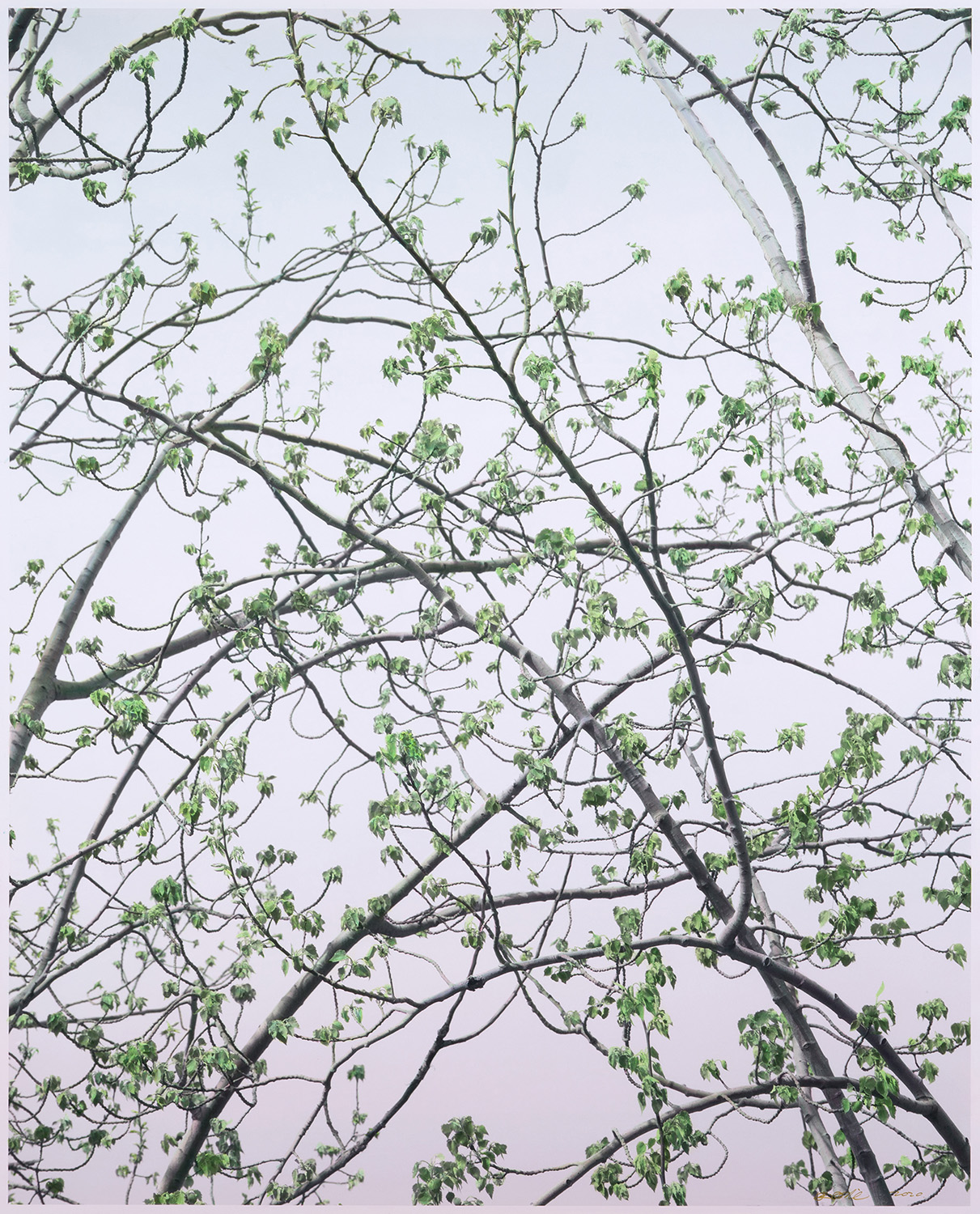 Shi Guowei 史国威 - Shi Guowei has always used photography as a creative ...