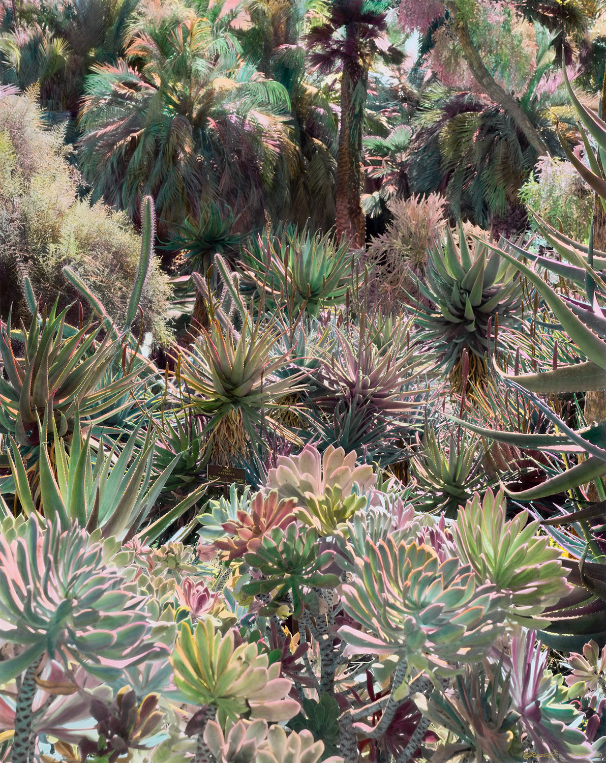 Shi Guowei 史国威 - Shi Guowei has always used photography as a creative ...