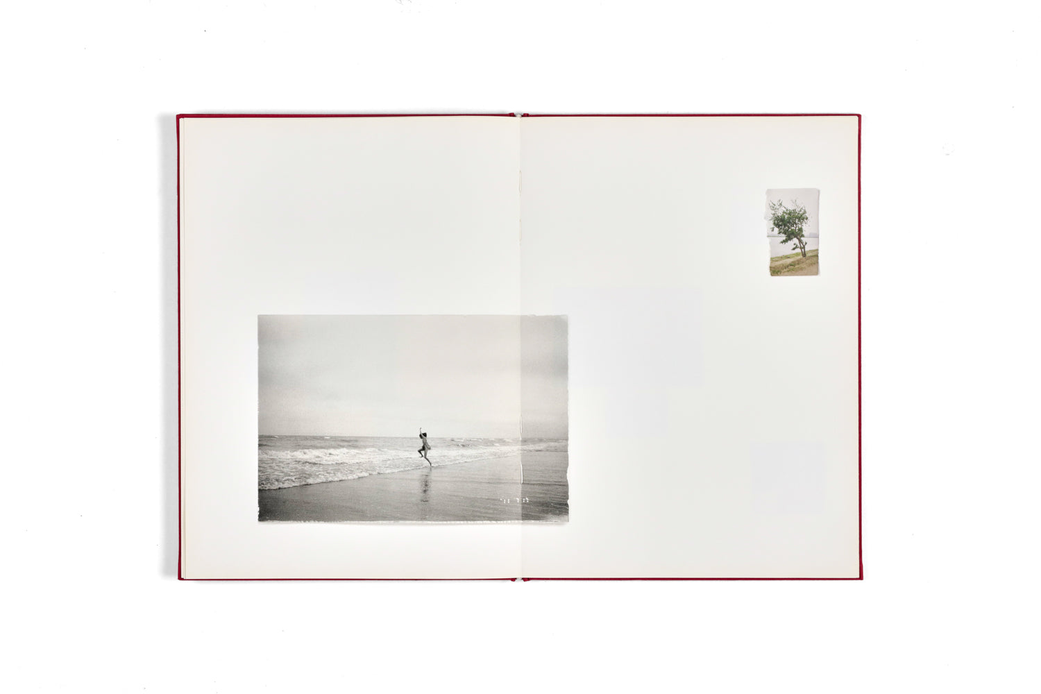 Zhu Mo - BRIGHT, BRIGHT DAY