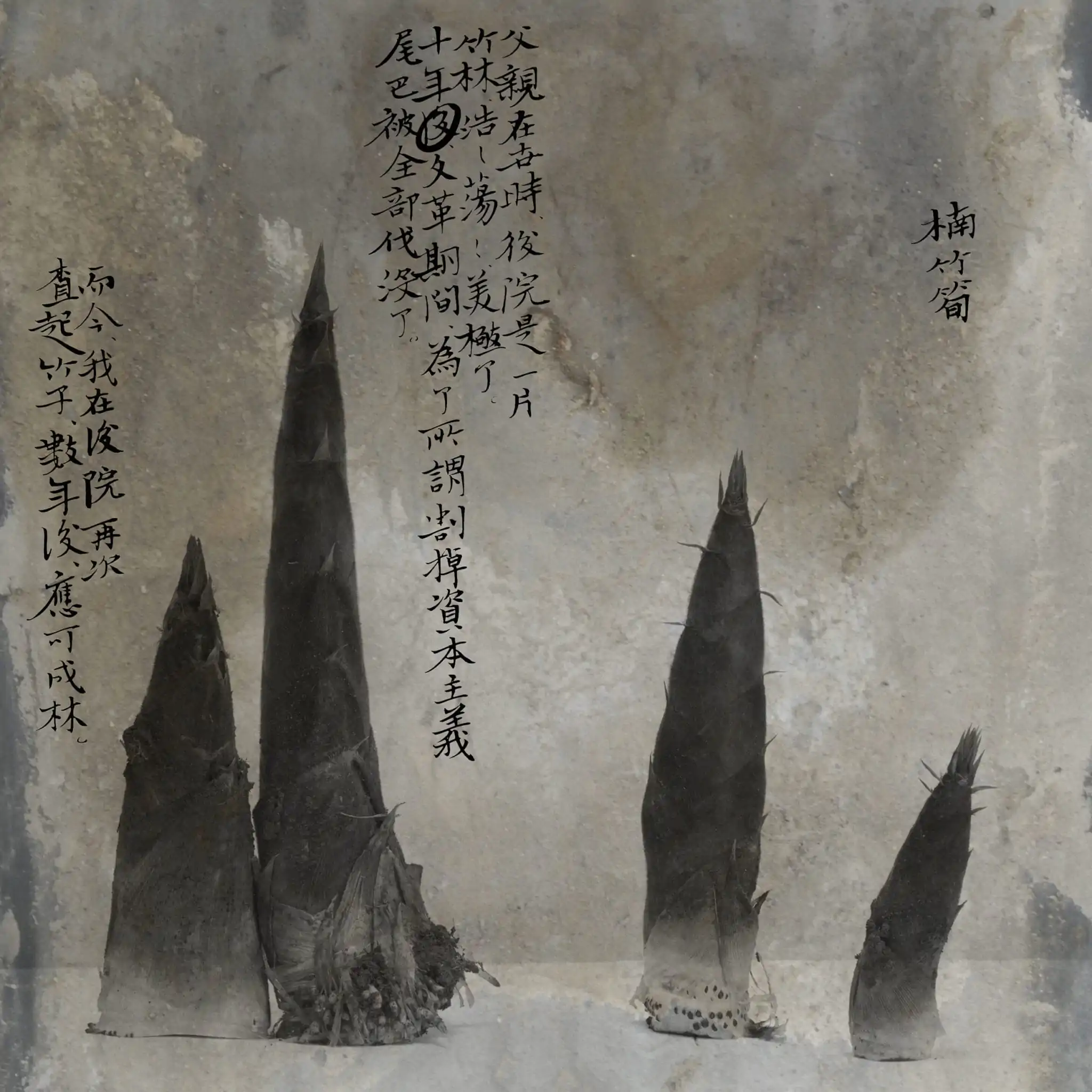 Mengxi 2 - Mengxi 2