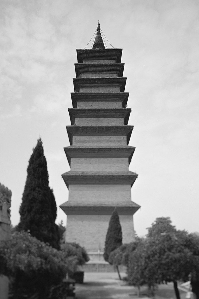 Lin Shu 林舒 - Growing from his interest in mysticism, Lin Shu has been ...